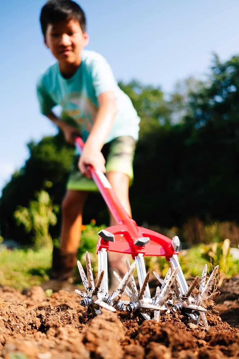 How To Pick Up Acorn At Yard (5 Powerful Ways)